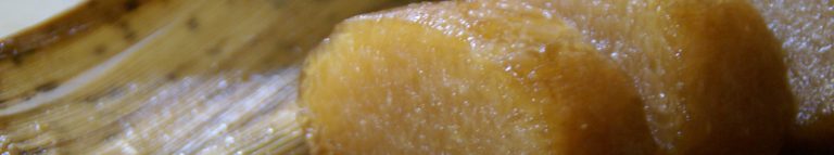 akumaki | 椎葉村観光協会